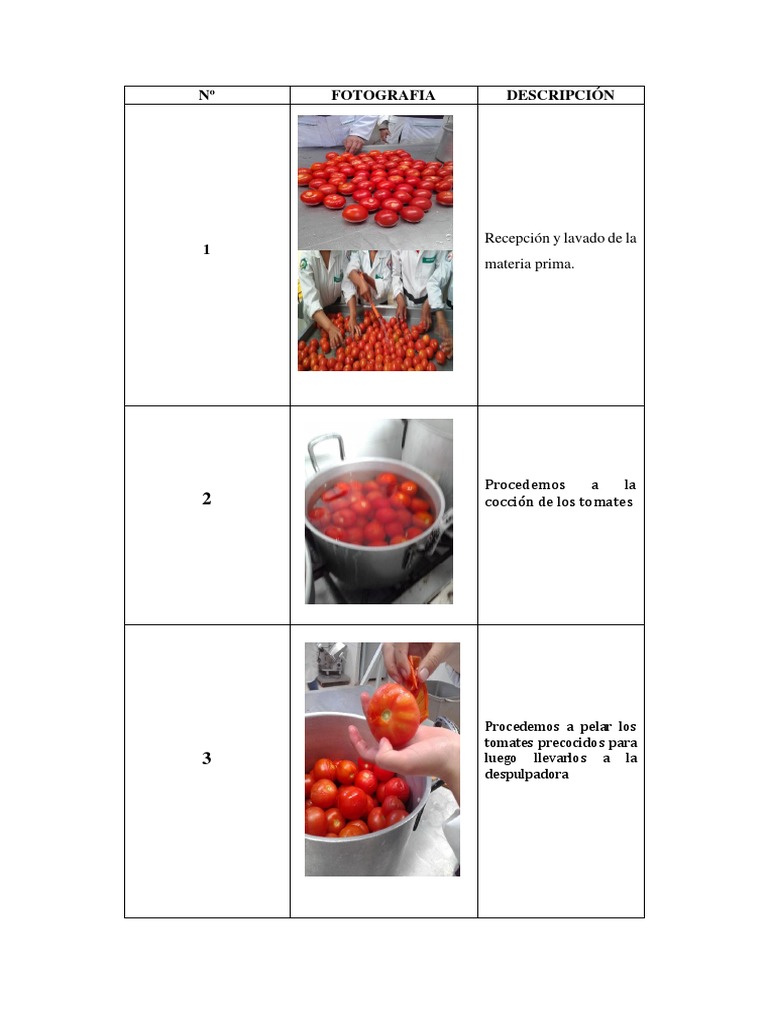 Anexos Salsa de Tomate Dey | PDF