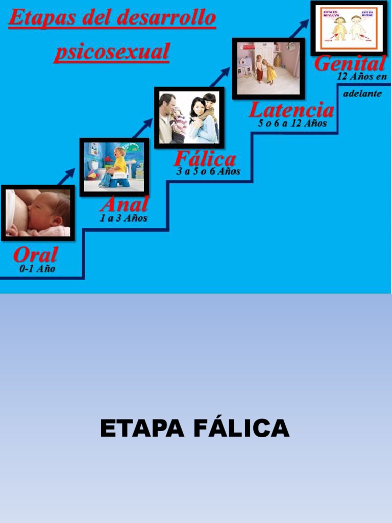 Etapa Falica | PDF