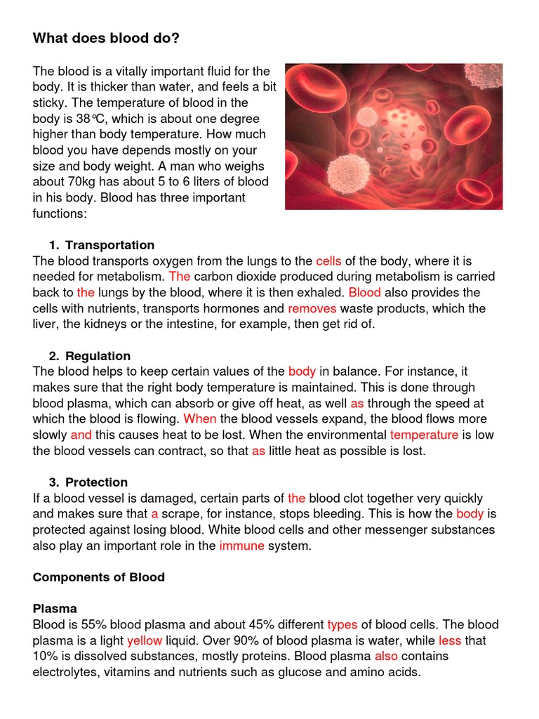 Blood Reading | PDF | Blood Cell | Blood