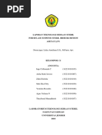 Injeksi Vial Dexametason | PDF