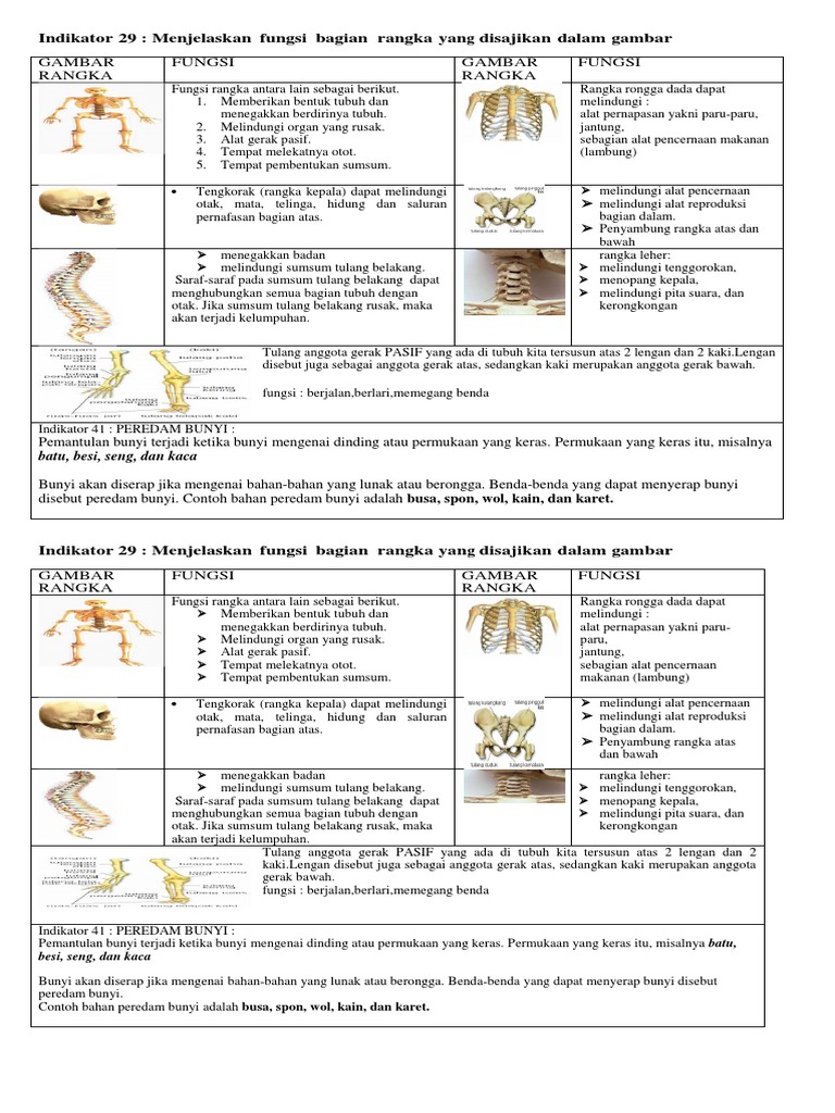 Ringkasan Materi Rangka | PDF