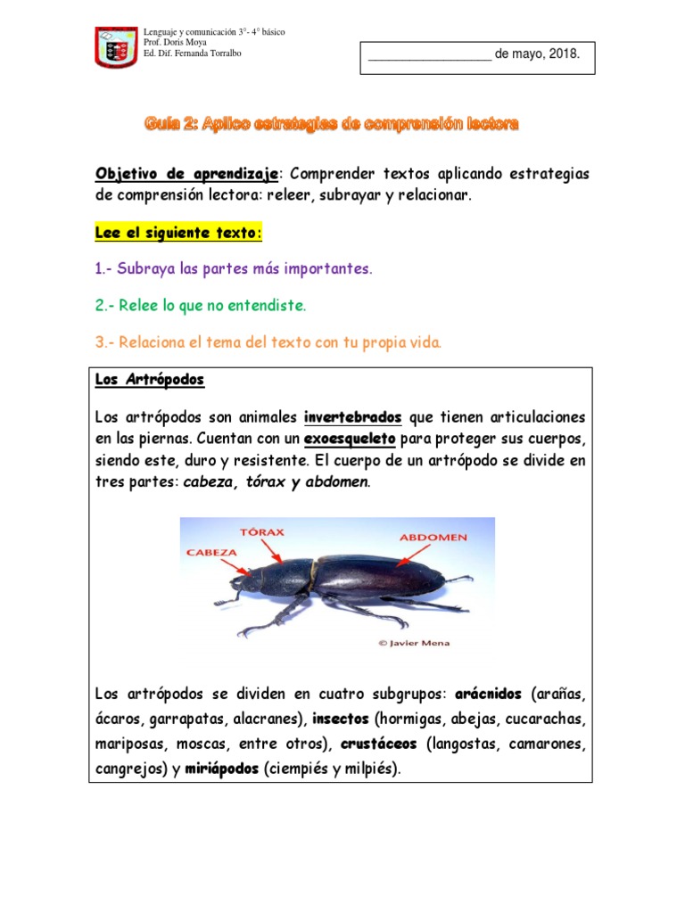 Comprensión Lectora 3ero y 4to 2 de Mayo Los Artrópodos | PDF ...