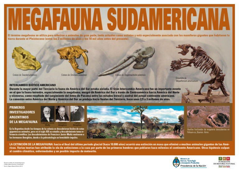 Extinción de la Megafauna Americana | PDF | Megafauna | Organismos