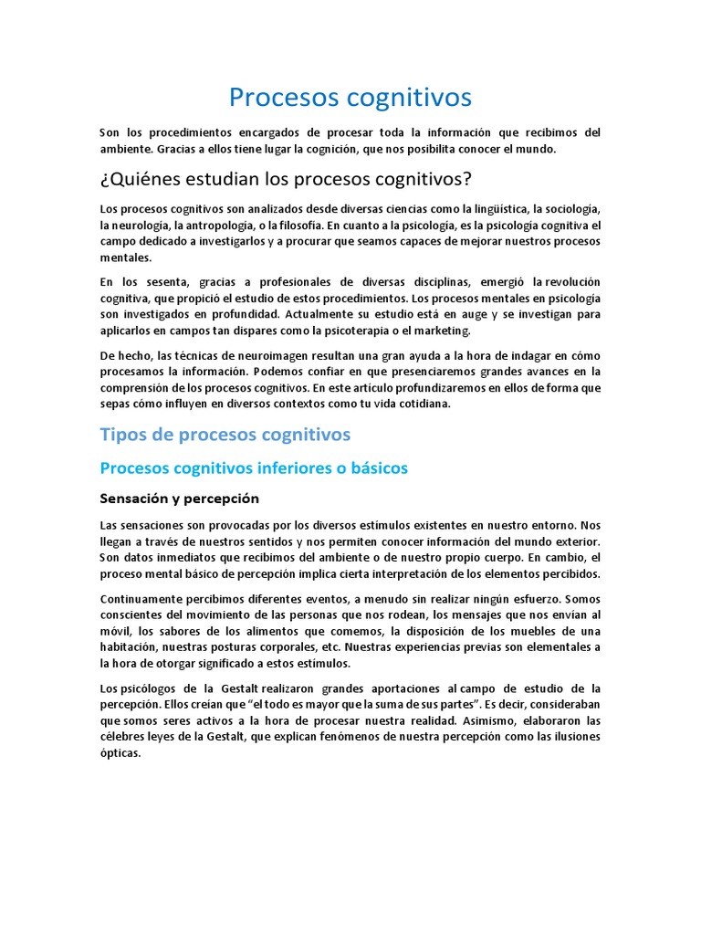Procesos Cognitivos Pdf Memoria Percepción