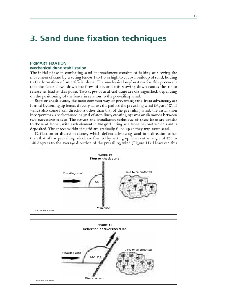 Sand Dune Fixation Techniques | PDF | Dune | Sowing
