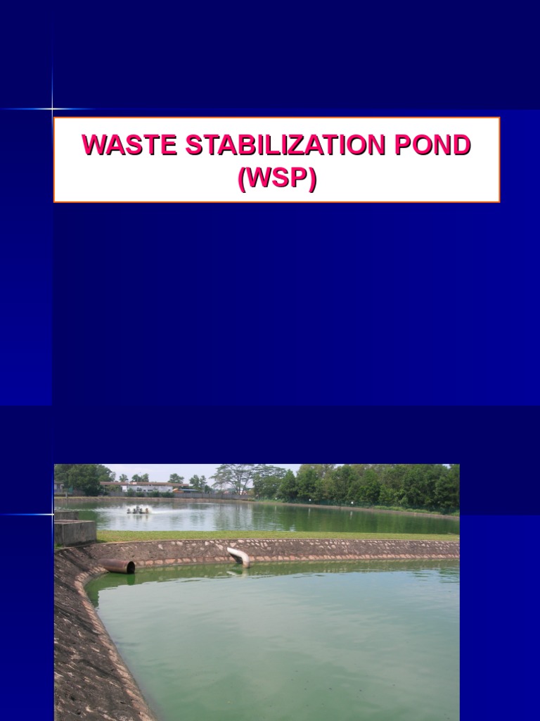 WSP Guide: Waste Stabilization Ponds for Treating Wastewater | PDF ...