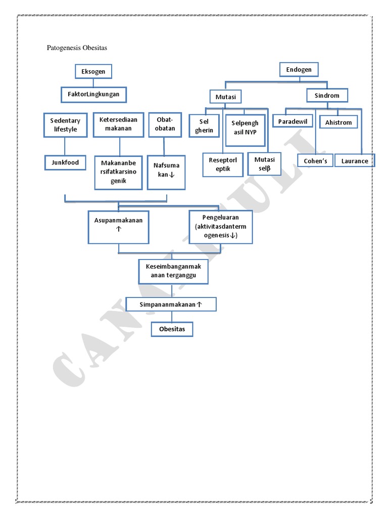 Patogenesis dan Patofisiologi Obesitas | PDF | Kesehatan Holistik