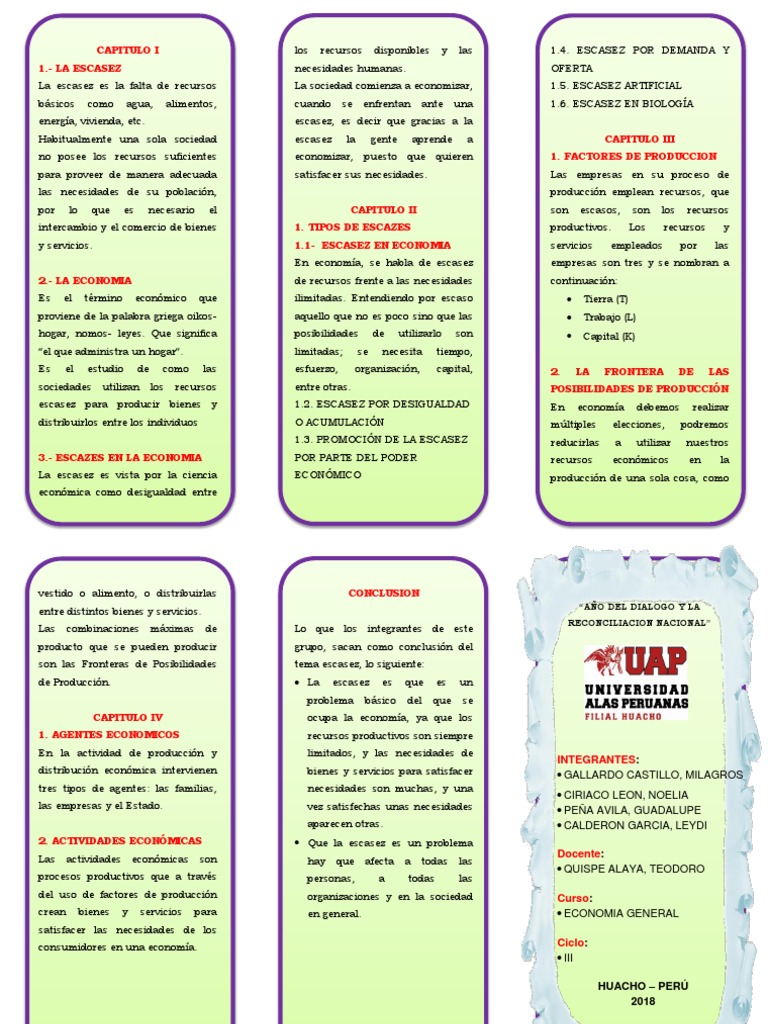 Triptico | PDF | Ciencias económicas | Economias