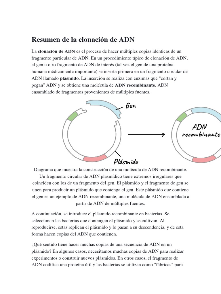 Clonación de ADN y Plásmidos Recombinantes | PDF | Plásmido | ADN ...