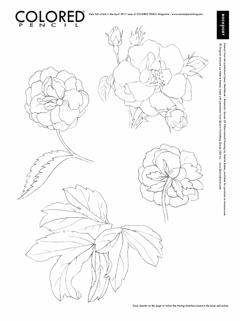 CPM Botanical | PDF