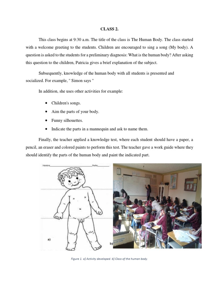 Class 2.: Figure 1. A) Activity Developed. B) Class of The Human Body | PDF