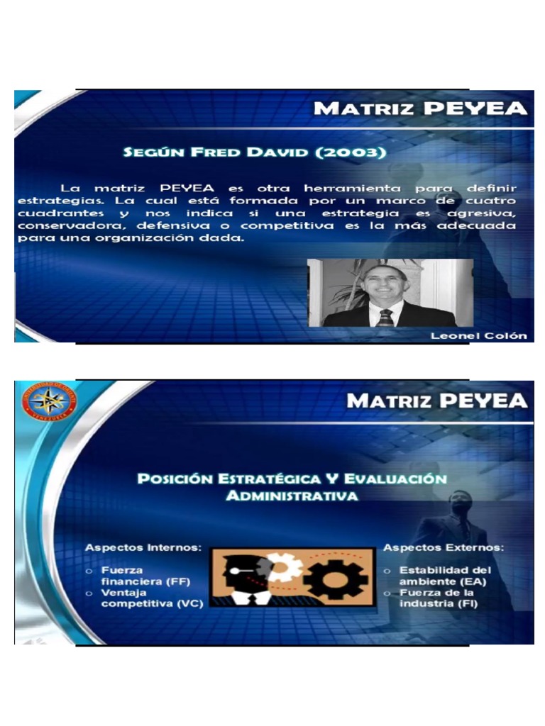 Matriz Peyea | PDF