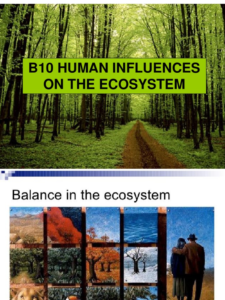 B10 Human Influences On The Ecosystem | PDF