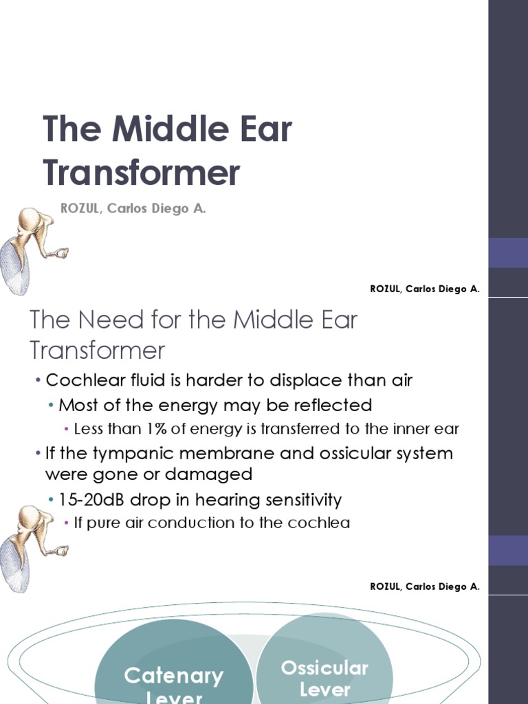 Middle Ear Impedance Matching Mechanisms | PDF | Ear | Auditory System