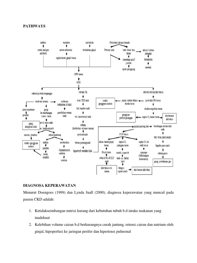 PATHWAY NUTRISI | PDF