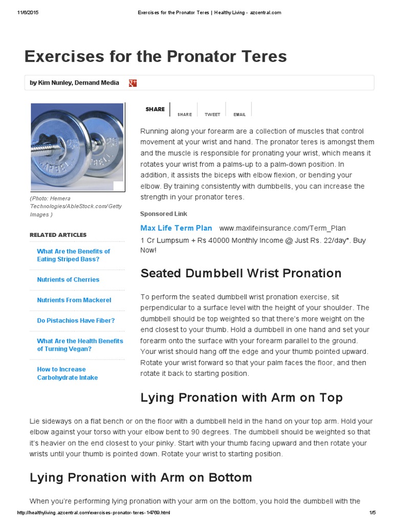 Exercises For The Pronator Teres - Healthy Living - Azcentral | PDF ...