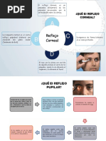 Reflejo consensual y su importancia clínica | PDF | Nervio | Ojo