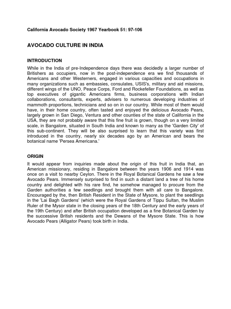 Avocado Culture in India: California Avocado Society 1967 Yearbook 51: ...