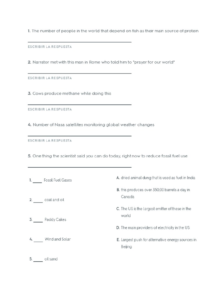 Before The Flood Worksheet | PDF