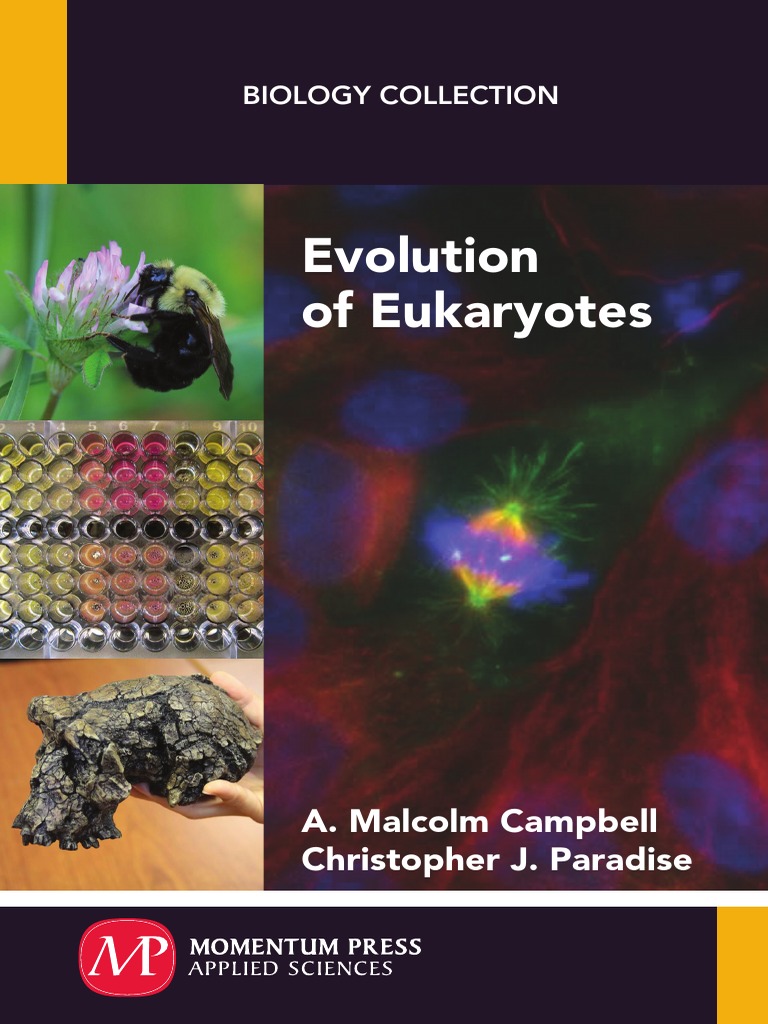 Evolution of Eukaryotes | Download Free PDF | Eukaryotes | Gene