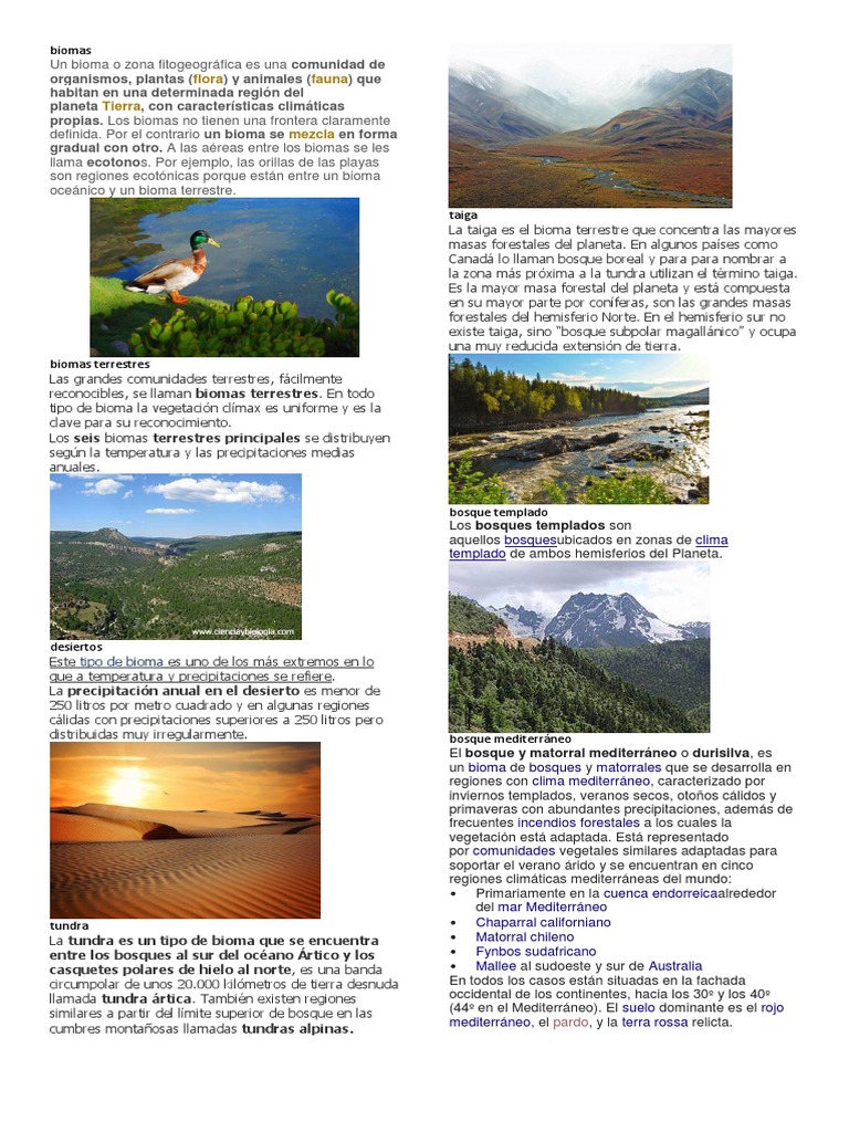 Biomas | PDF | Desierto | Habitat