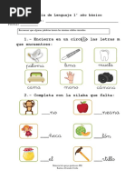 PRUEBA LETRAS T, D, N - 1° Basico | PDF