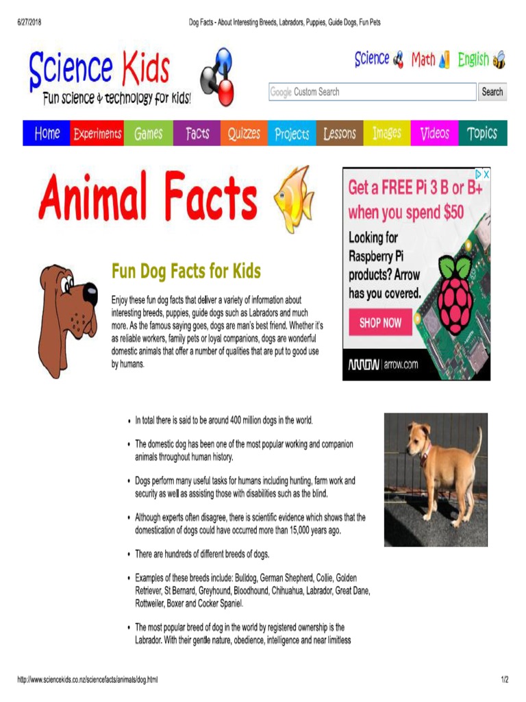 Fun Dog Facts for Kids | PDF | Labrador Retriever | Canis Lupus