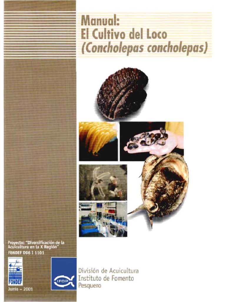 Manual Cultivo Loco PDF | PDF