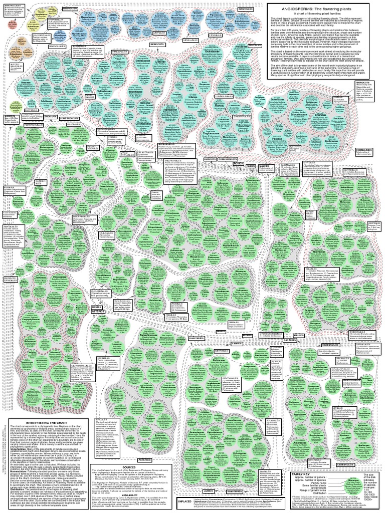 Chart | PDF | Botany | Horticulture And Gardening