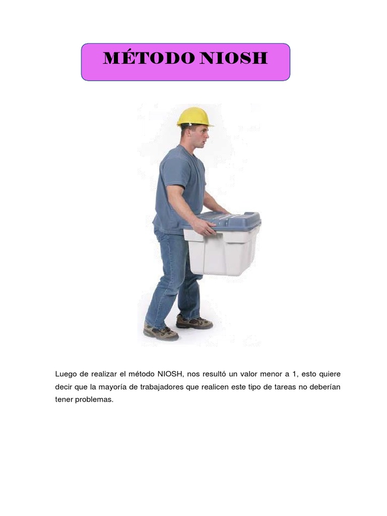 Evaluación de Riesgos con Método NIOSH | PDF | Áreas de informática | Science