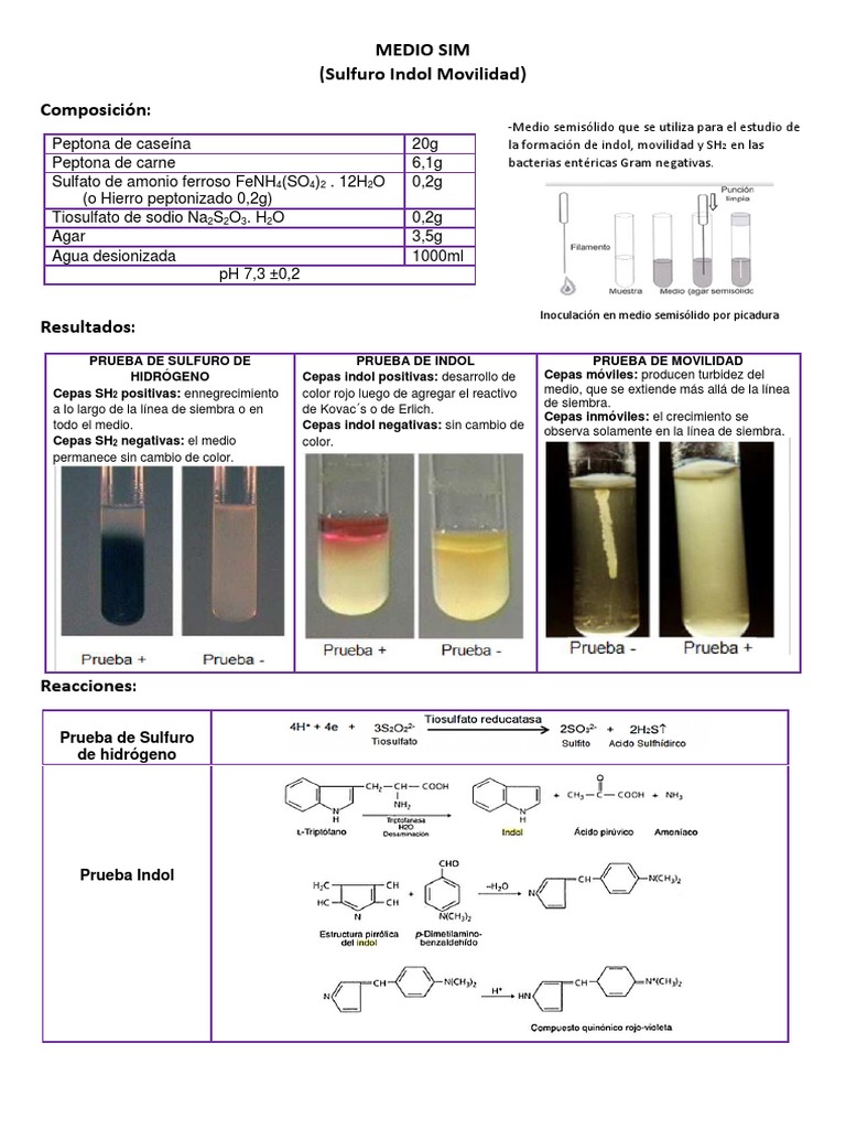 Medio Sim | PDF