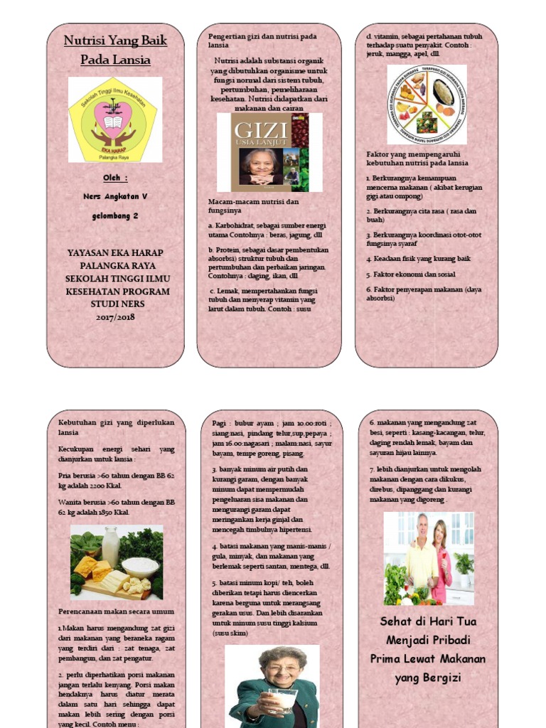 Leaflet Lansia | PDF | Kesehatan Holistik