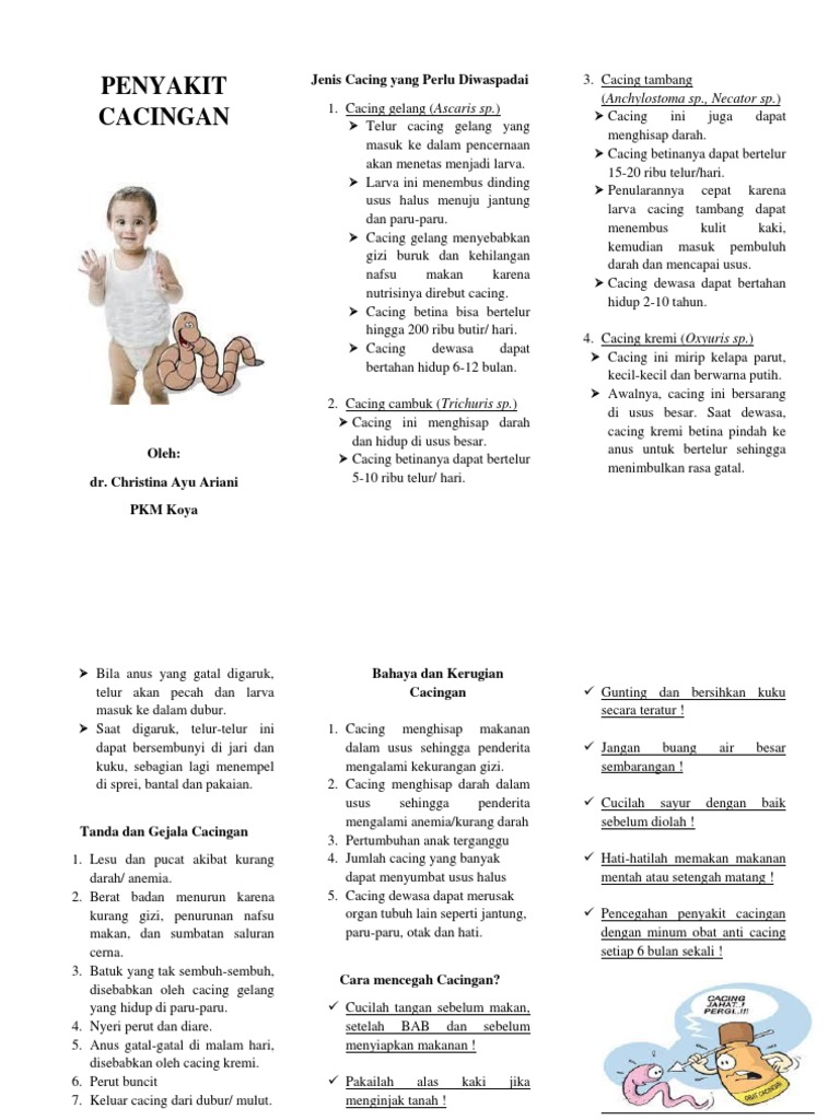 Leaflet Penyuluhan Cacingan | PDF