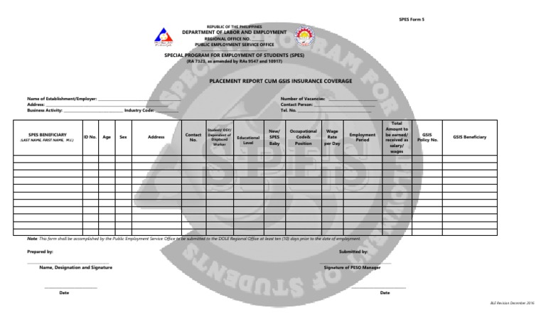SPES Form 5 Placement Report Guide | PDF | Employment | Labor