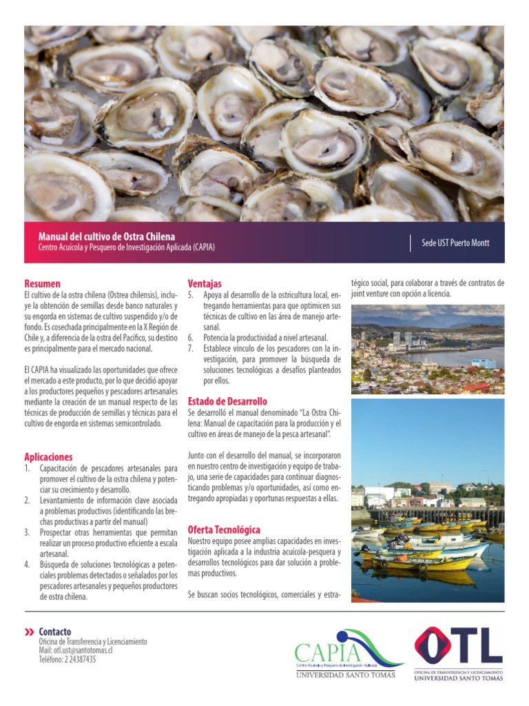Cultivo de ostra chilena manual | PDF | Chile | Informática y ...