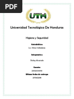 Ley 618 - Higiene y Seguridad Laboral | PDF | Seguridad y salud ocupacional