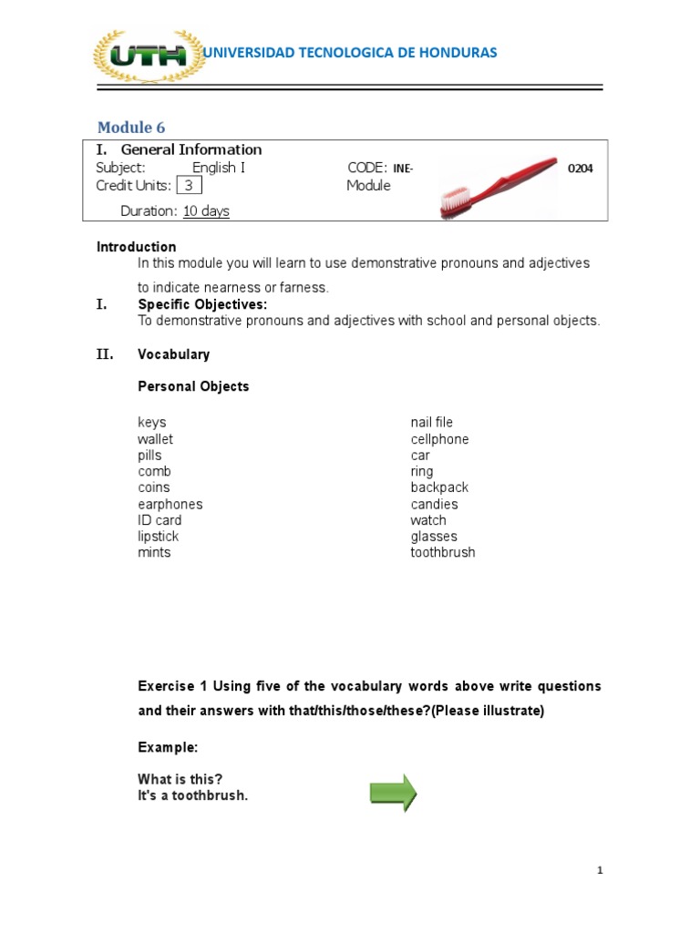 English I Homework Module 7 Personal Objects and Demonstrative ...