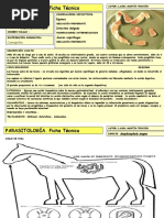 Setaria Equina | PDF | Biología | Enfermedades y trastornos