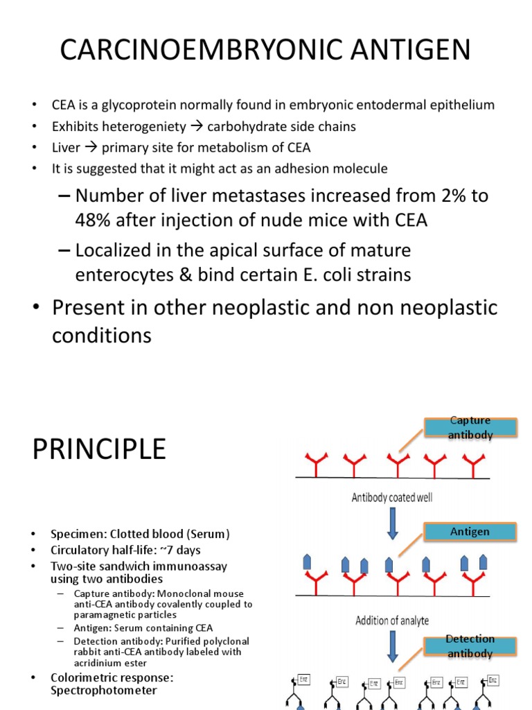 CARCINOEMBRYONIC ANTIGEN.pptx | Colorectal Cancer | Antibody | Free 30 ...