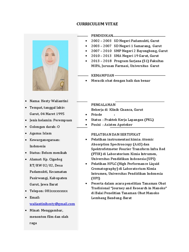 Contoh Curriculum Vitae | PDF