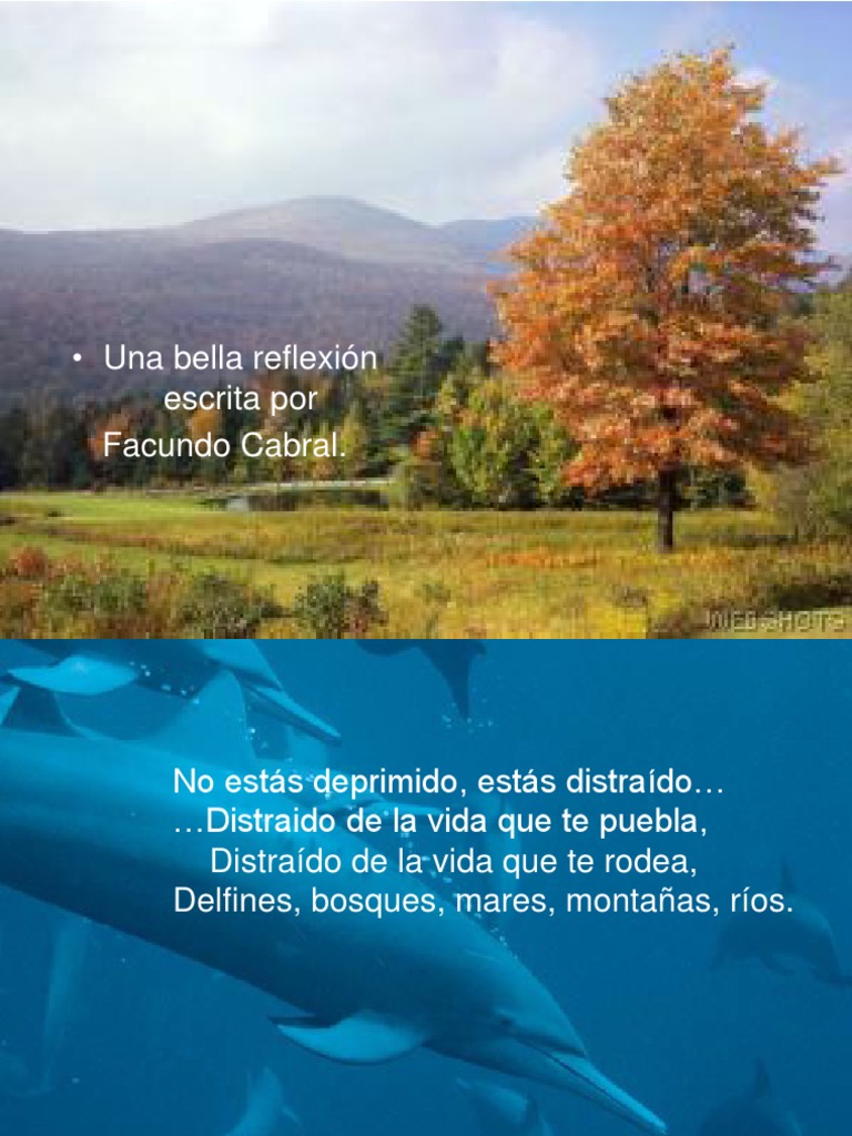 65-Facundo Cabral..pps | PDF | Felicidad | Amor