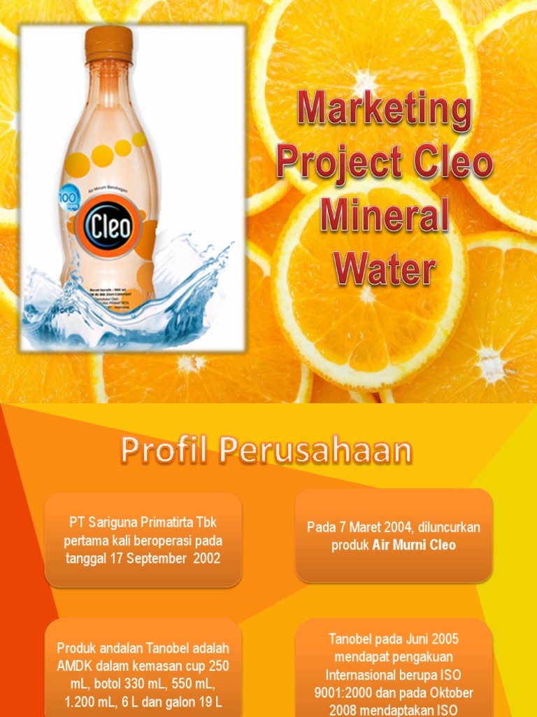 Marketing Project Cleo Mineral Water | PDF