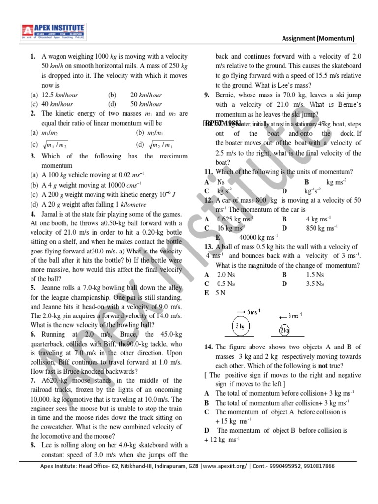 Momentum Assignment Class 9 | PDF | Collision | Rocket