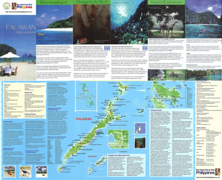 Palawan Flyers | PDF