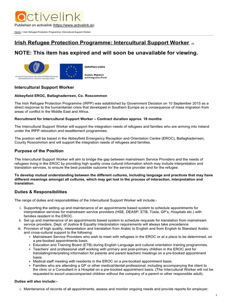 Intercultural Support Worker Role in Ireland | PDF | Cross Cultural ...
