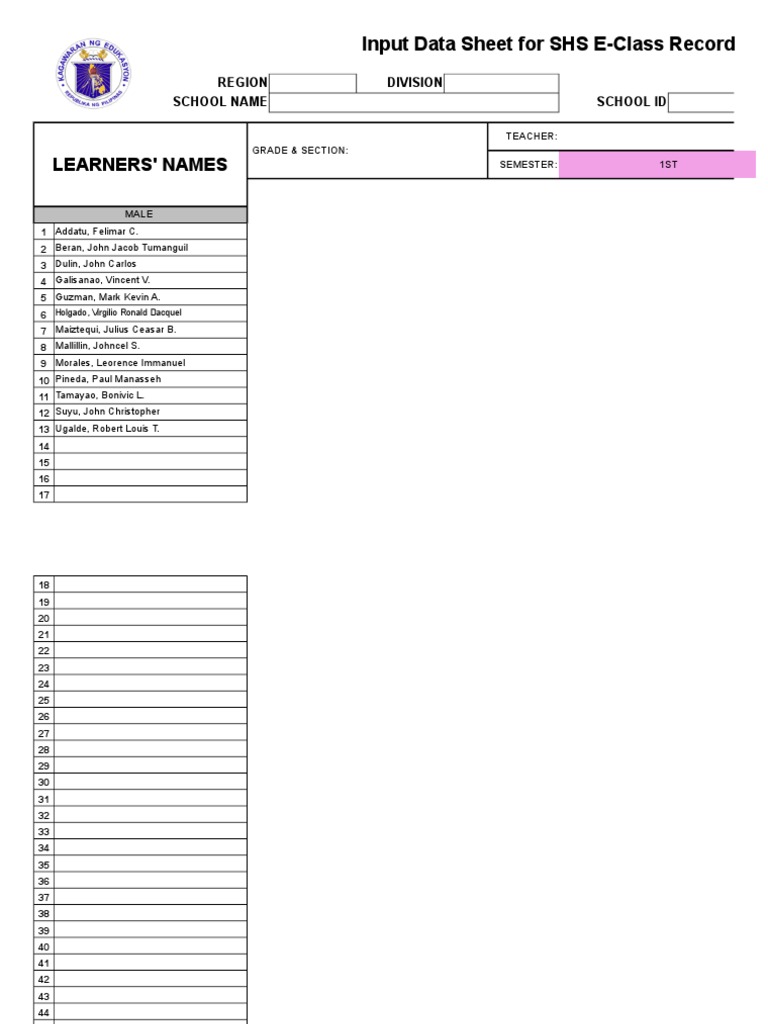 SHS E-Class Record Input Data | PDF