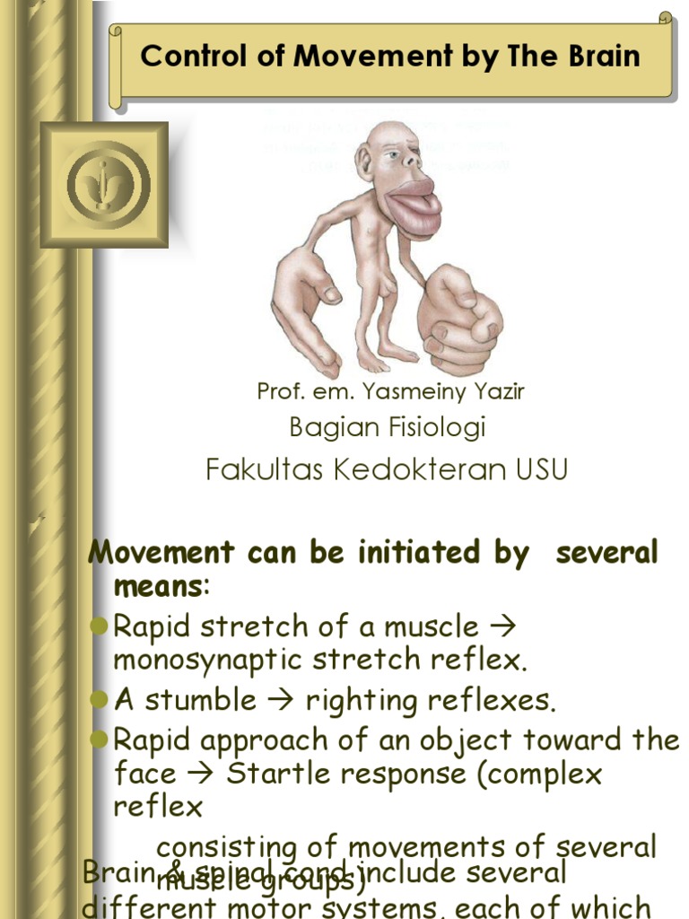 Control of Movement by The Brain: Fakultas Kedokteran USU | PDF ...