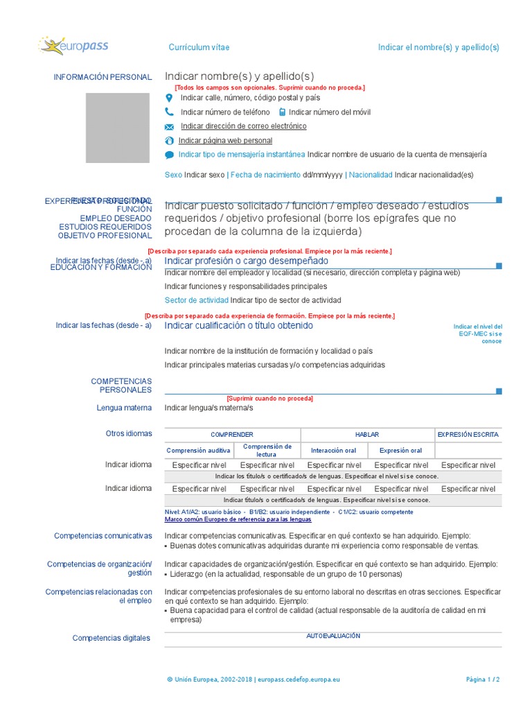 Ecv Template Es | PDF | Comunicación | Informática