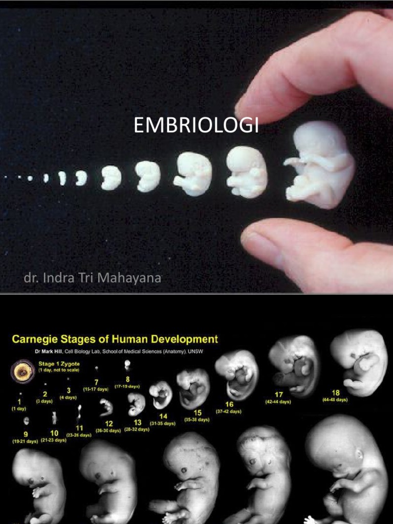 Embryology Overview and Key Concepts | PDF | Self-Improvement | Science ...