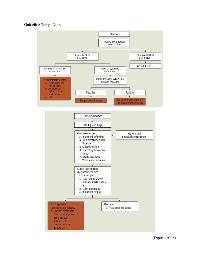 Panduan Terapi Diare & TB | PDF